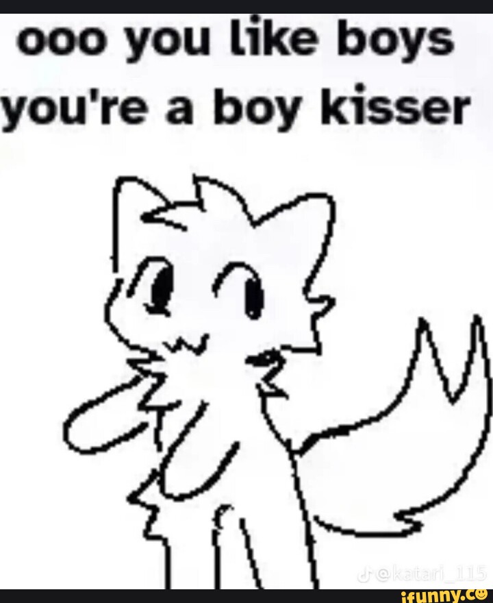 Ooo you like boys you're a boy kisser - iFunny