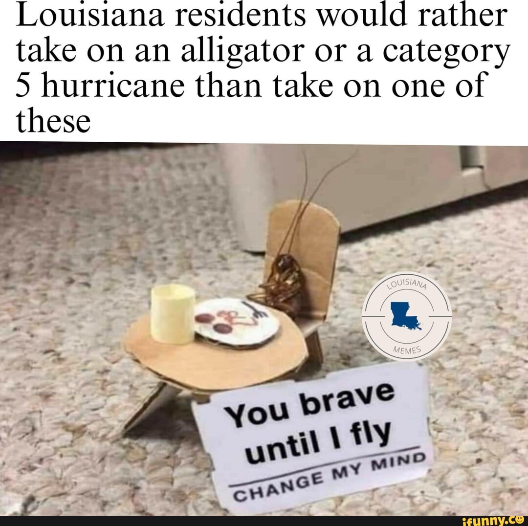 Hurricane memes. Best Collection of funny Hurricane pictures on iFunny