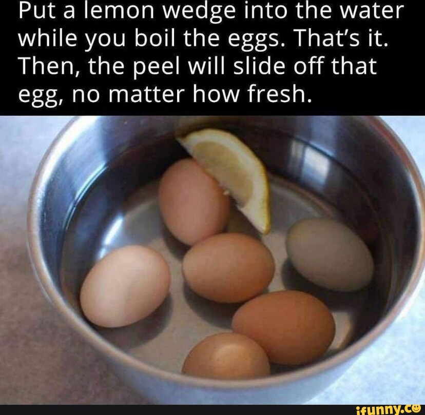 Wedge memes. Best Collection of funny Wedge pictures on iFunny