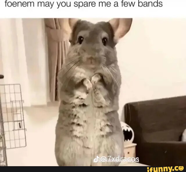 Foenem memes. Best Collection of funny Foenem pictures on iFunny