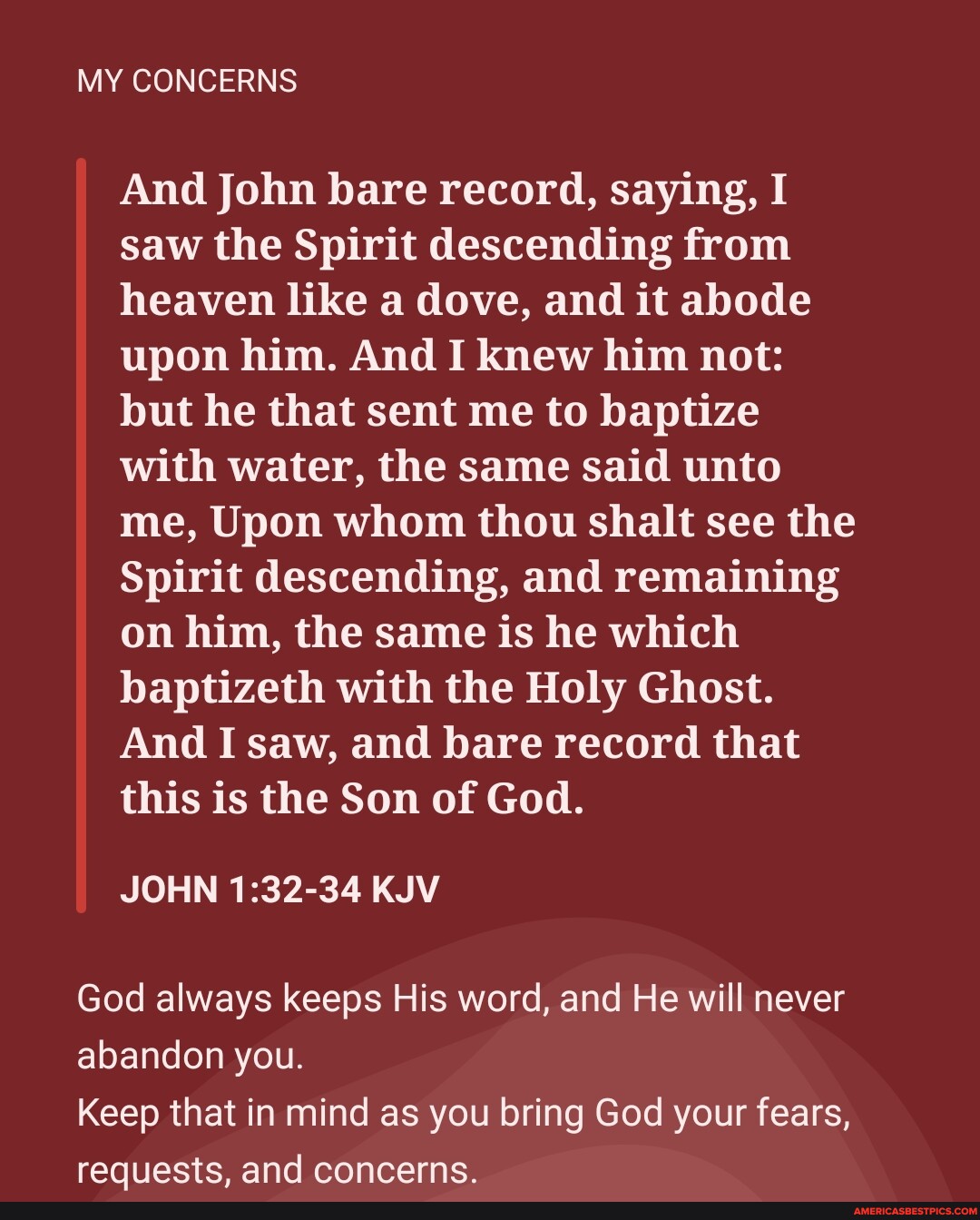 MY CONCERNS And John bare record, saying, I saw the Spirit descending ...