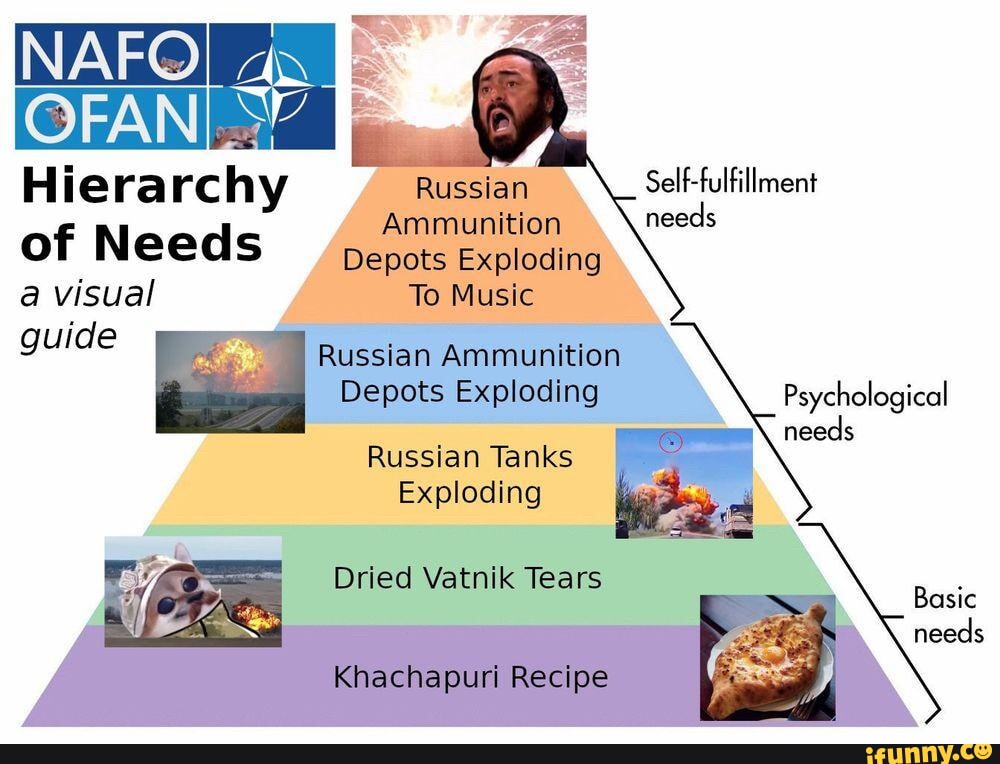 NAFO hierarchy of needs - NAFO hierarchy of needs NAFO OFAN H ie rarc ...