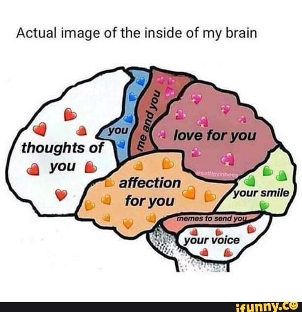 Actual image of the inside of my brain - iFunny