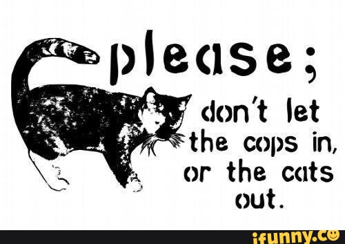 Cops memes. Best Collection of funny Cops pictures on iFunny