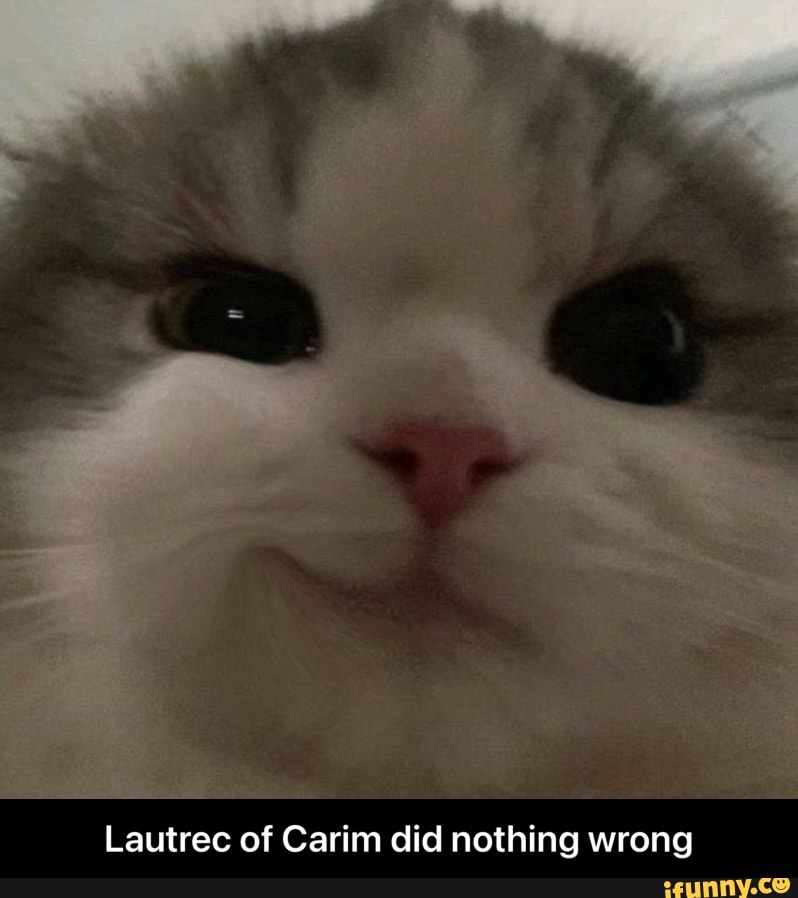 Lautrec memes. Best Collection of funny Lautrec pictures on iFunny