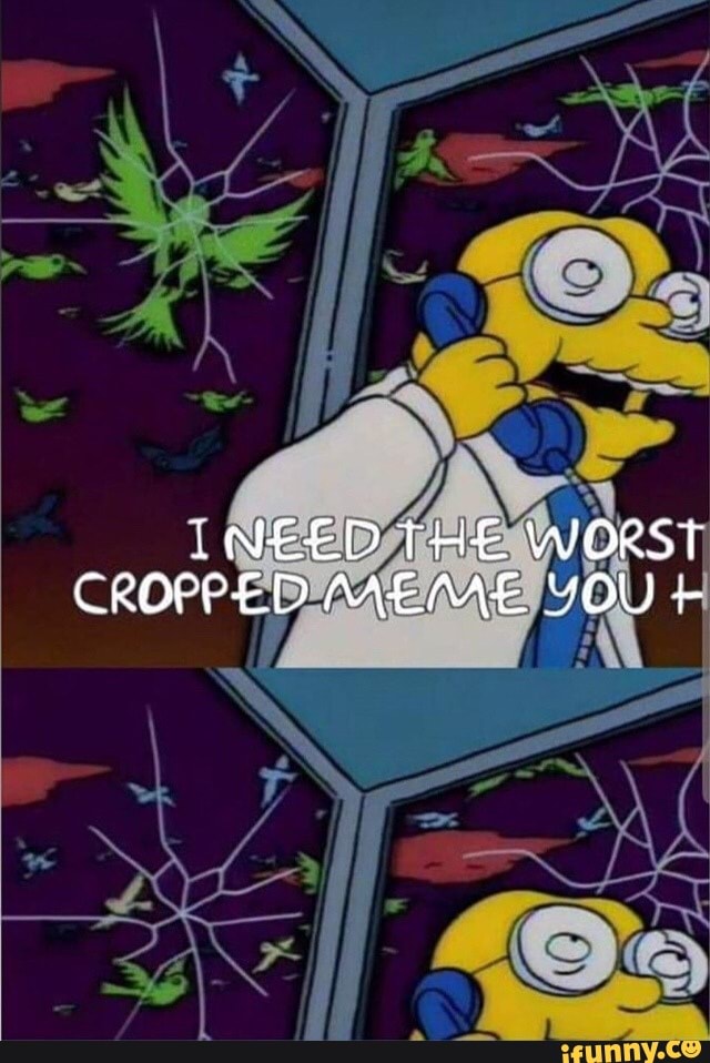 INEED THE WORST CROPPED MEME YOU + - iFunny