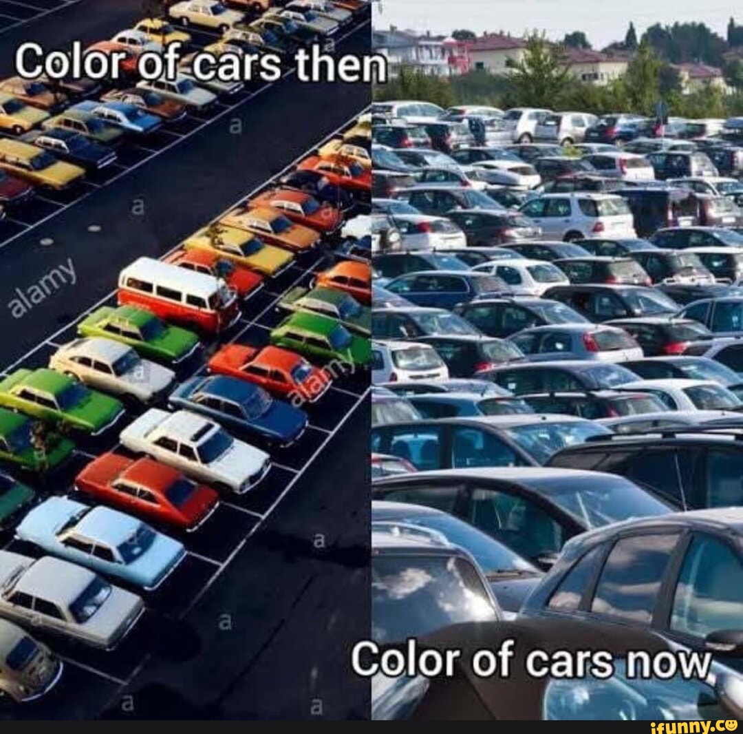 Video memes 3Dpg6jO49 by FancySombrero: 127 comments - iFunny