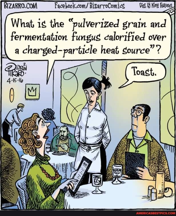 Kine What ig the "pulverized gram and fermentation fungus calorified ...
