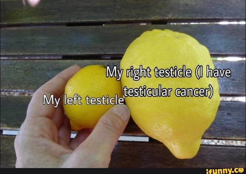 My right testicle (have testicular cancer) My left testicle - iFunny