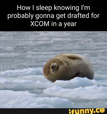 Xcom memes. Best Collection of funny Xcom pictures on iFunny