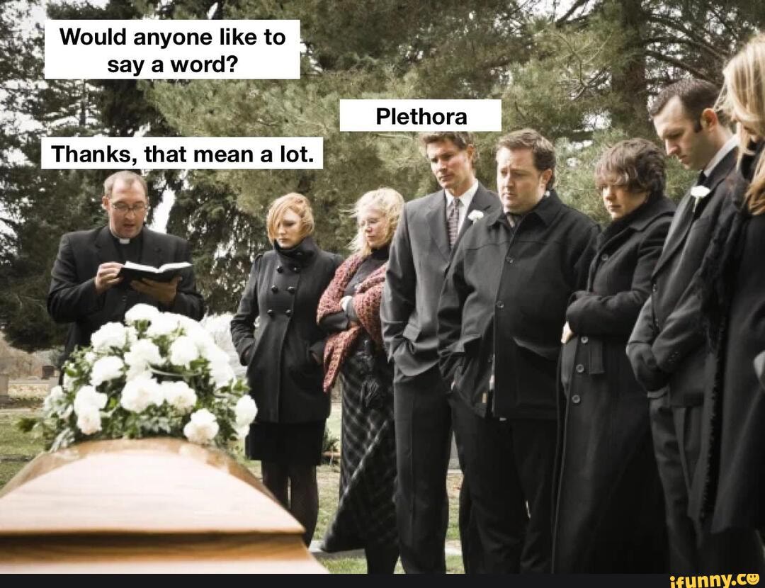 Would anyone like to say a word? Plethora that mean lot. - iFunny