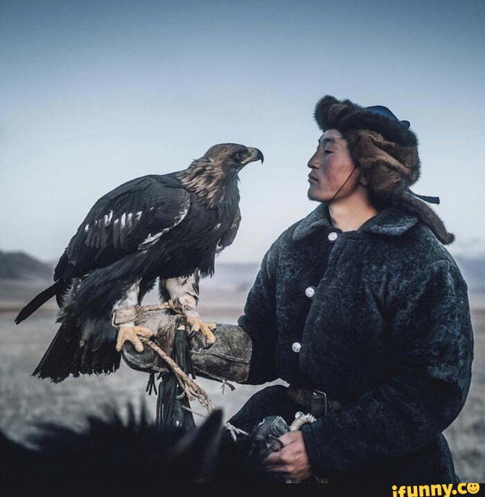 Golden_eagle memes. Best Collection of funny Golden_eagle pictures on ...