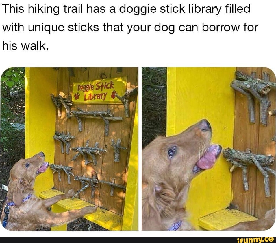 This hiking trail has a doggie stick library filled with unique sticks ...
