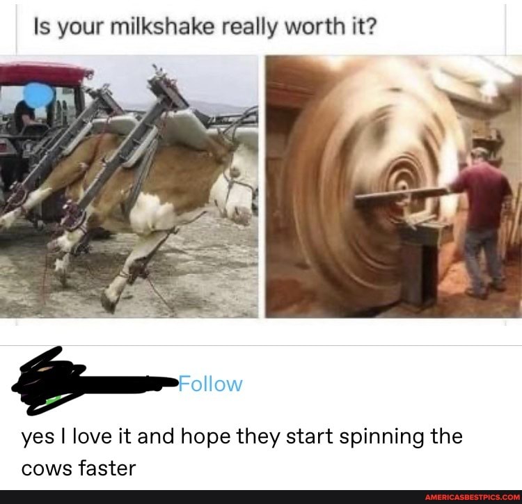 Spin the cow faster - Is your milkshake really worth it? ollow yes I ...