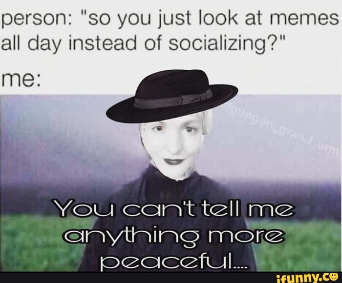 Person: "so you just look at memes all day instead of socializing?" You ...
