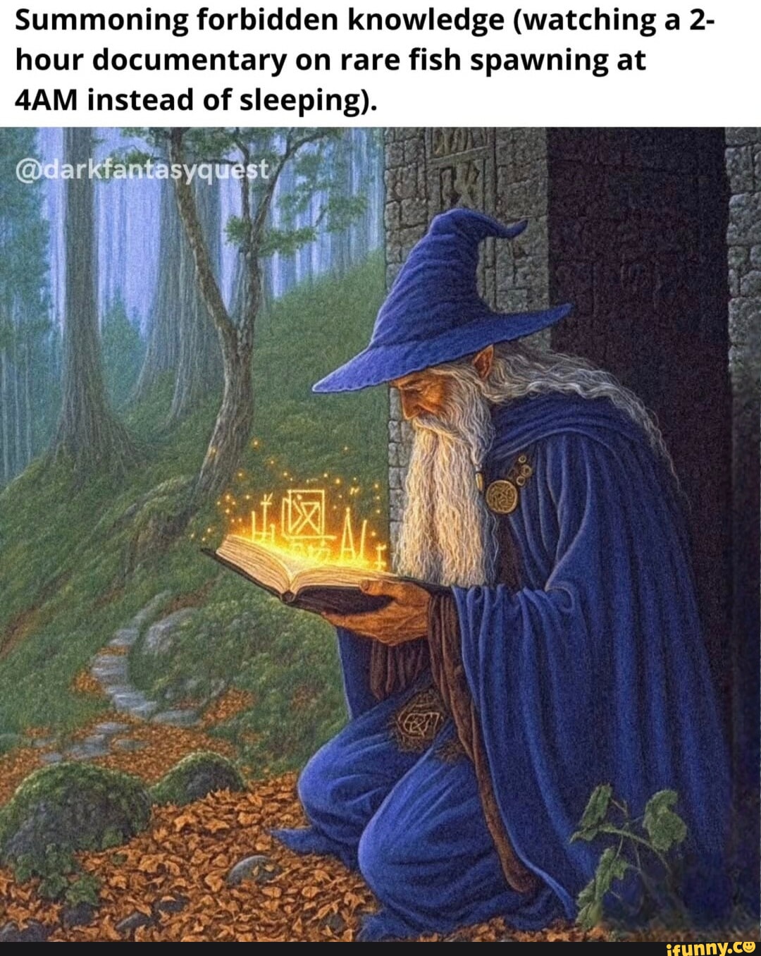 Summoning forbidden knowledge (watching a 2- hour documentary on rare ...