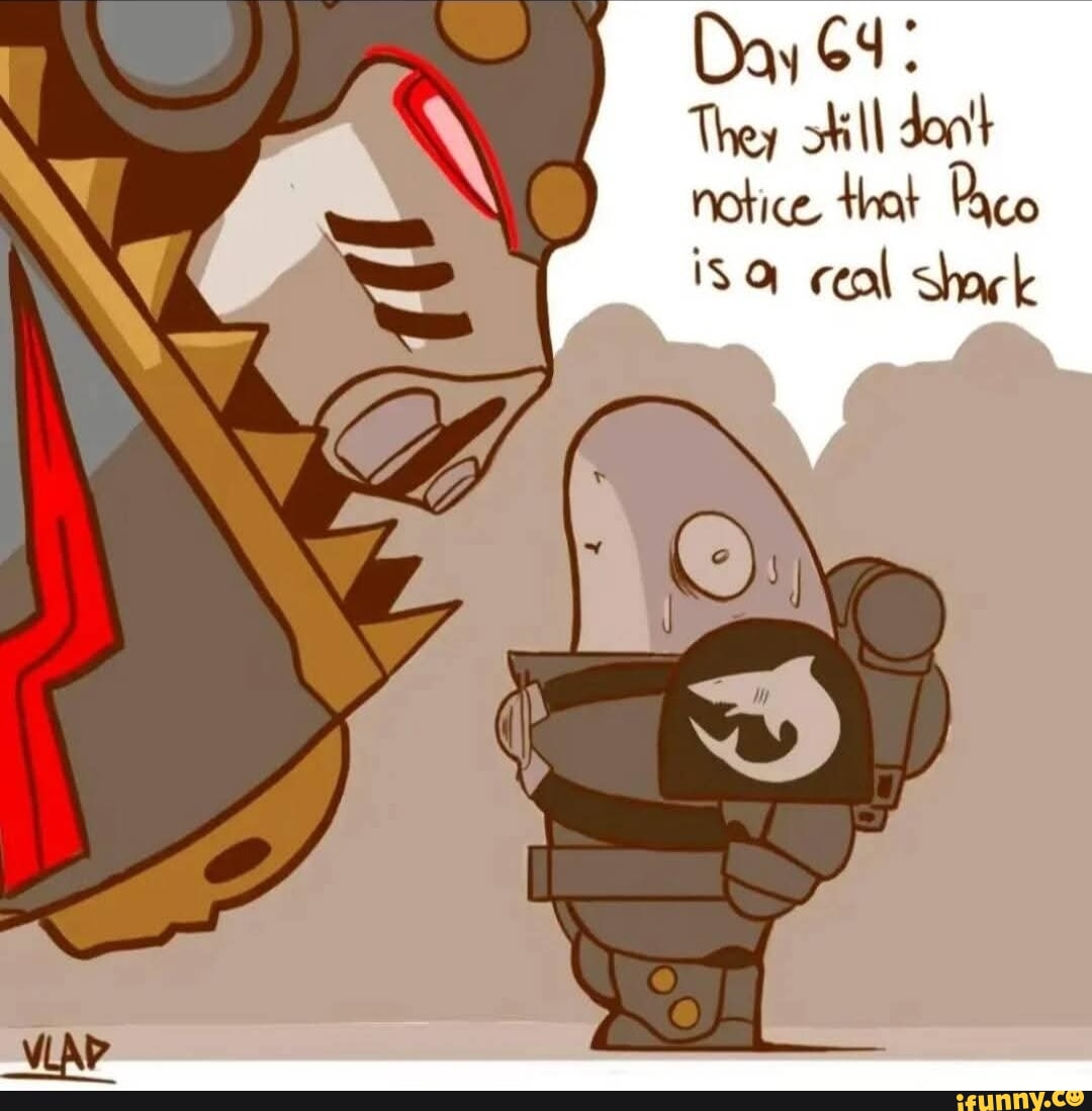 Day 64: They otill dor't notice that Paco cell shack - iFunny