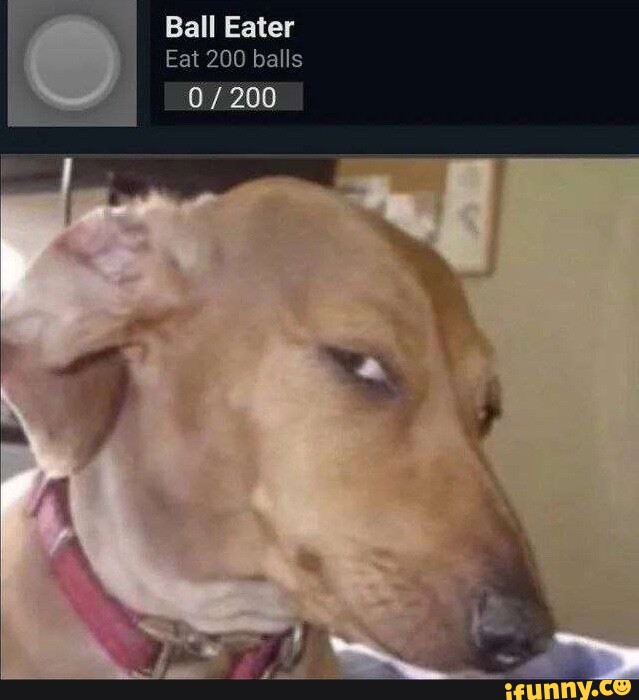 Video memes xoLFcMSJA by Dom_reacts_ - seo.title