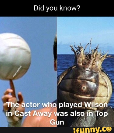 Did you know? The actor who played Wilson in Cast Away was also in Top ...