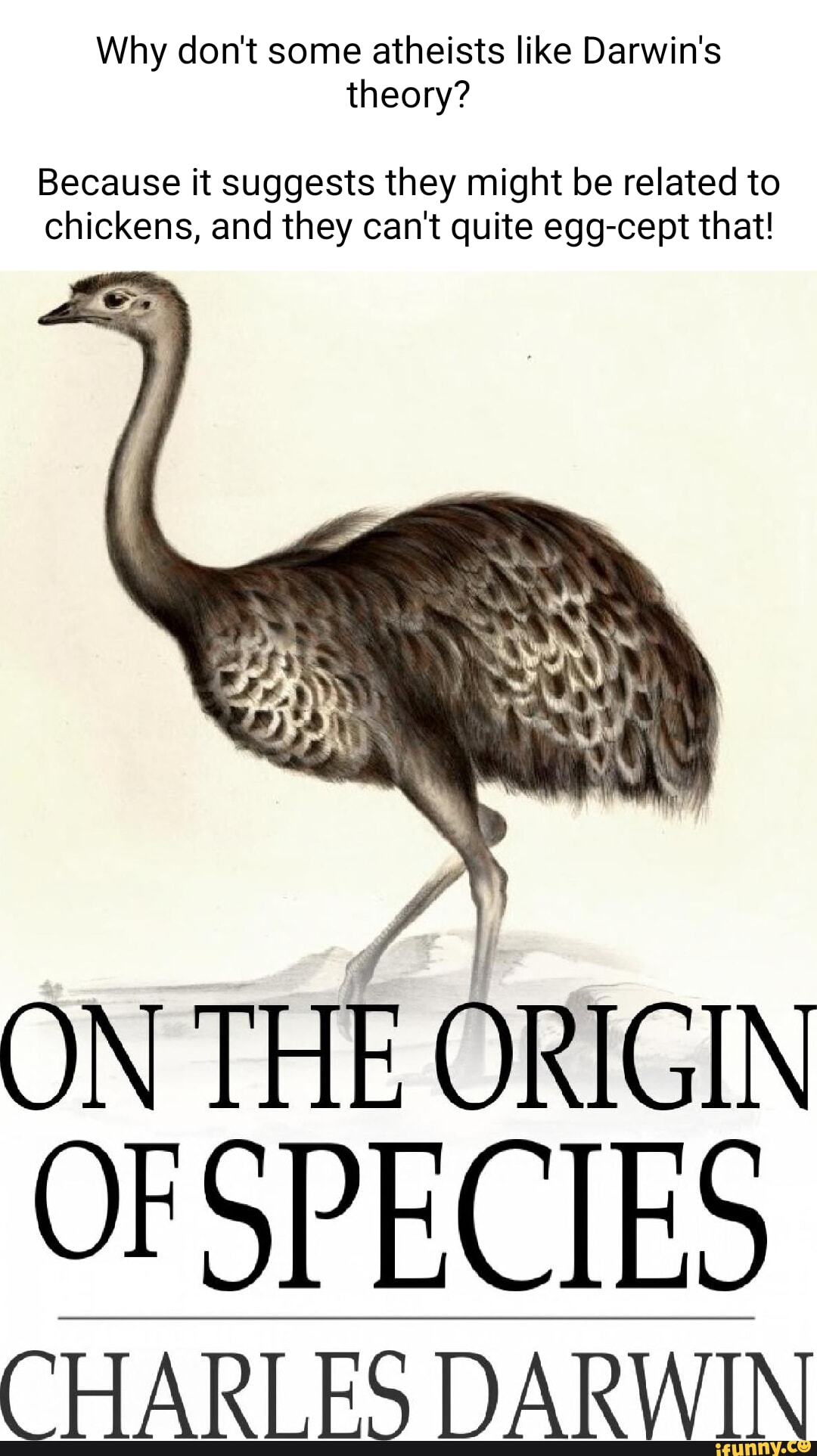 Darwin memes. Best Collection of funny Darwin pictures on iFunny