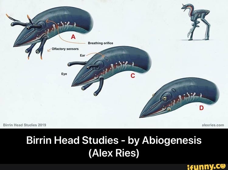 Birrin Head Studies by Abiogenesis (Alex Ries) - Birrin Head Studies ...