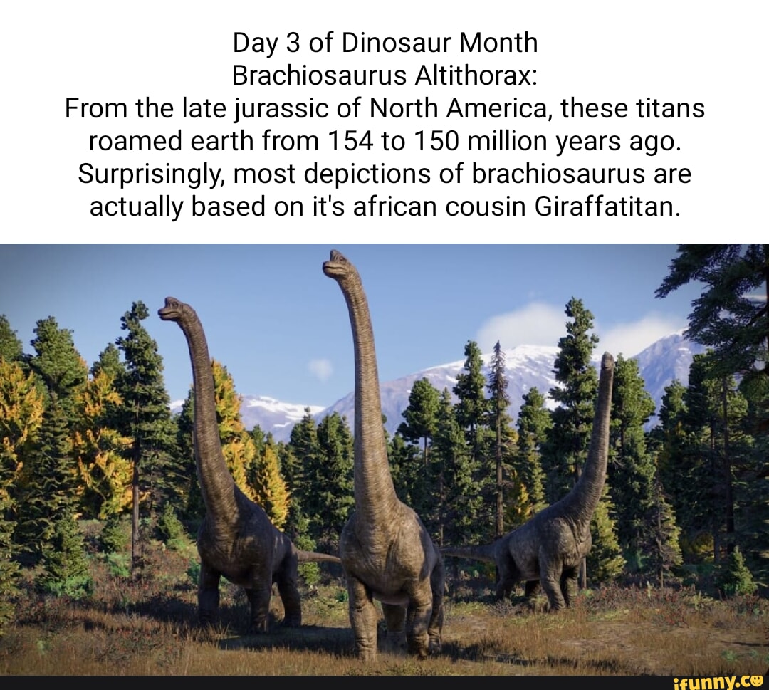 Brachiosaurus memes. Best Collection of funny Brachiosaurus pictures on ...