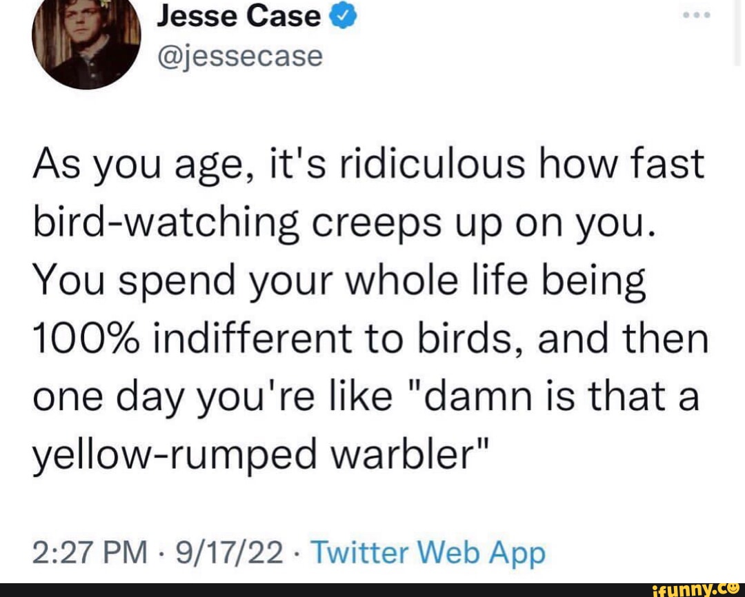 Jesse Case As you age, it's ridiculous how fast bird-watching creeps up ...
