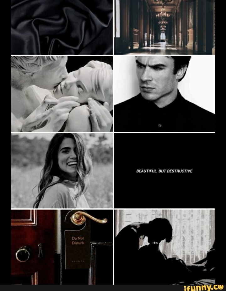 Rheaaesthetic memes. Best Collection of funny Rheaaesthetic pictures on ...