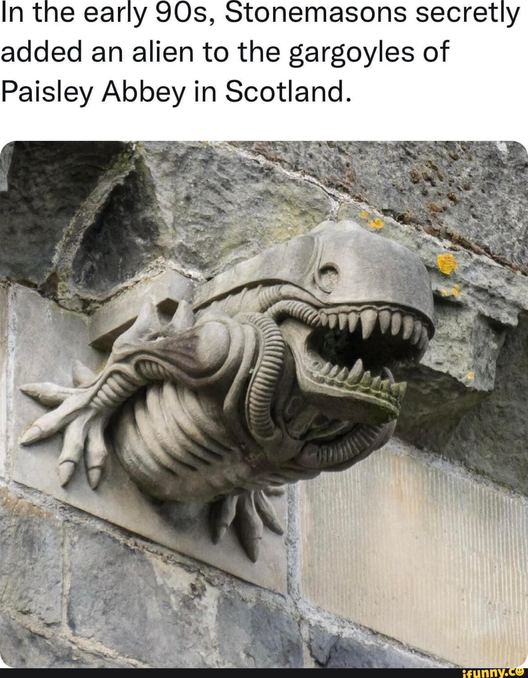 Gargoyles memes. Best Collection of funny Gargoyles pictures on iFunny