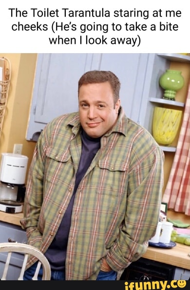 The Toilet Tarantula staring at me cheeks (He's going to take a bite ...