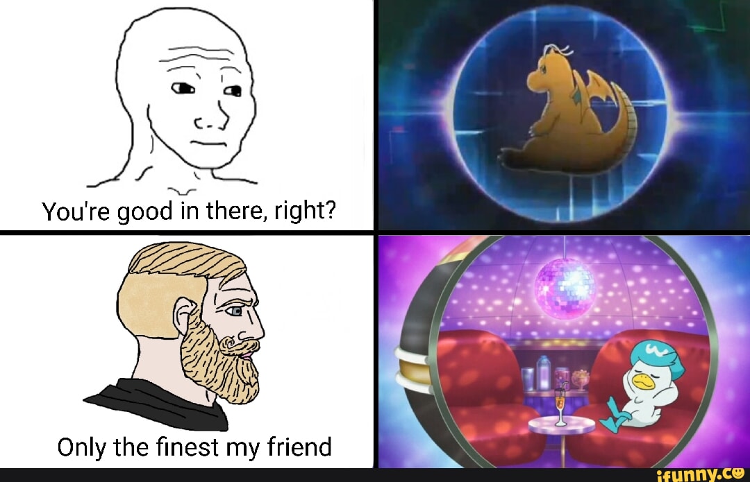 Quaxly memes. Best Collection of funny Quaxly pictures on iFunny