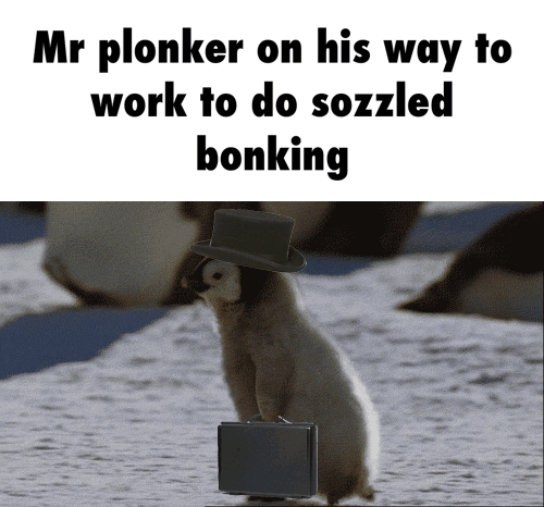 Sozzled memes. Best Collection of funny Sozzled pictures on iFunny