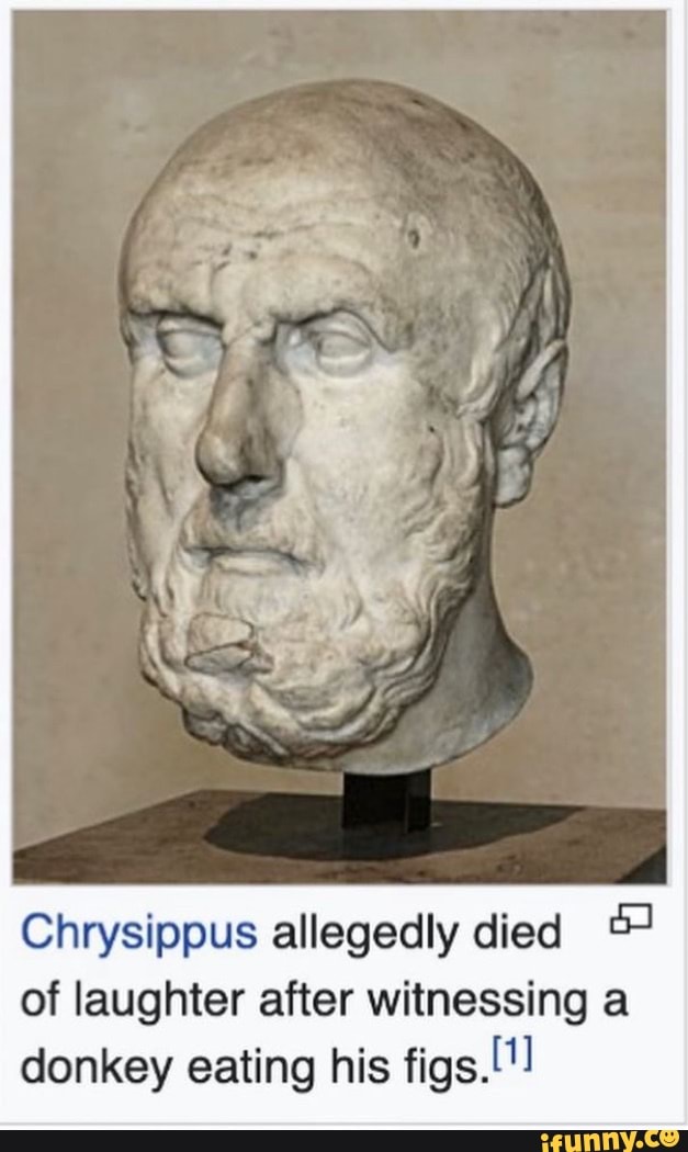 Chrysippus allegedly died of laughter after witnessing a donkey eating ...