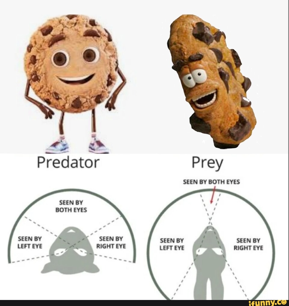 Video memes IG38J5Ox9 by KomedyKodie - iFunny