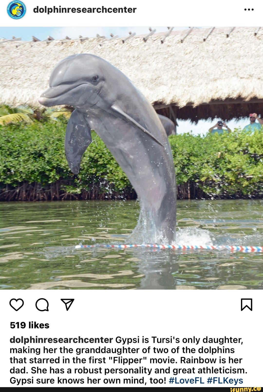 Robust memes. Best Collection of funny Robust pictures on iFunny