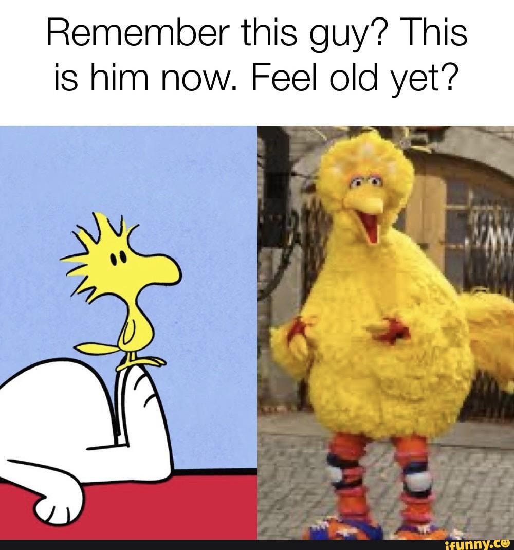 Remember this guy? This is him now. Feel old yet? - iFunny