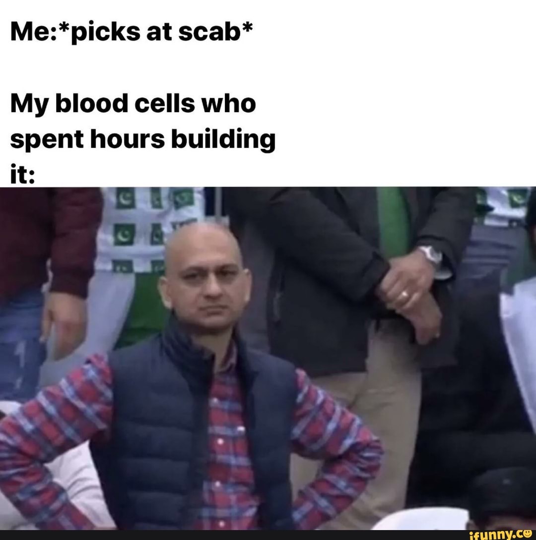 Me:*picks at scab* My blood cells who spent hours building - iFunny