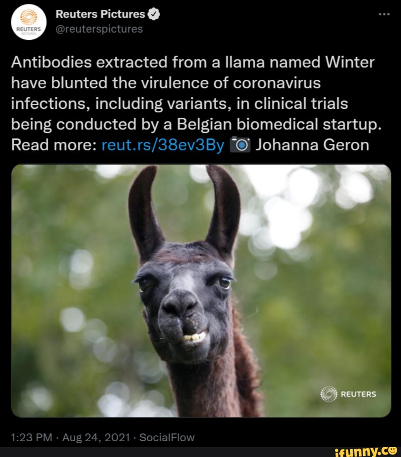 Virulence memes. Best Collection of funny Virulence pictures on iFunny