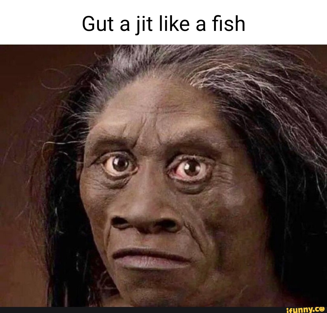 Gut a jit like a fish - iFunny