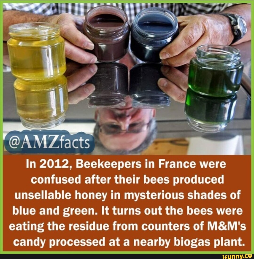 Biogas memes. Best Collection of funny Biogas pictures on iFunny