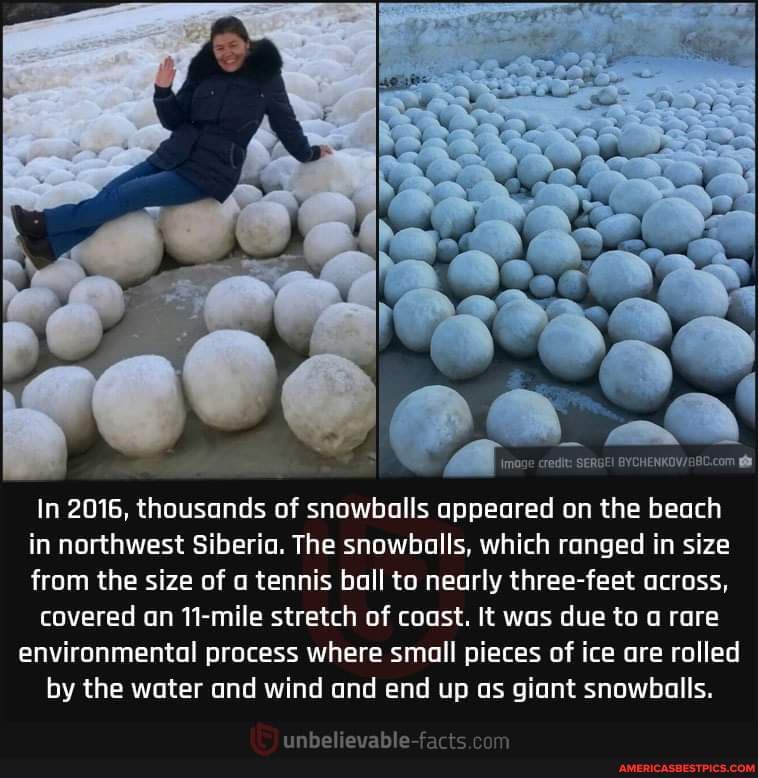 In 2016, thousands of snowballs appeared on the beach in northwest ...