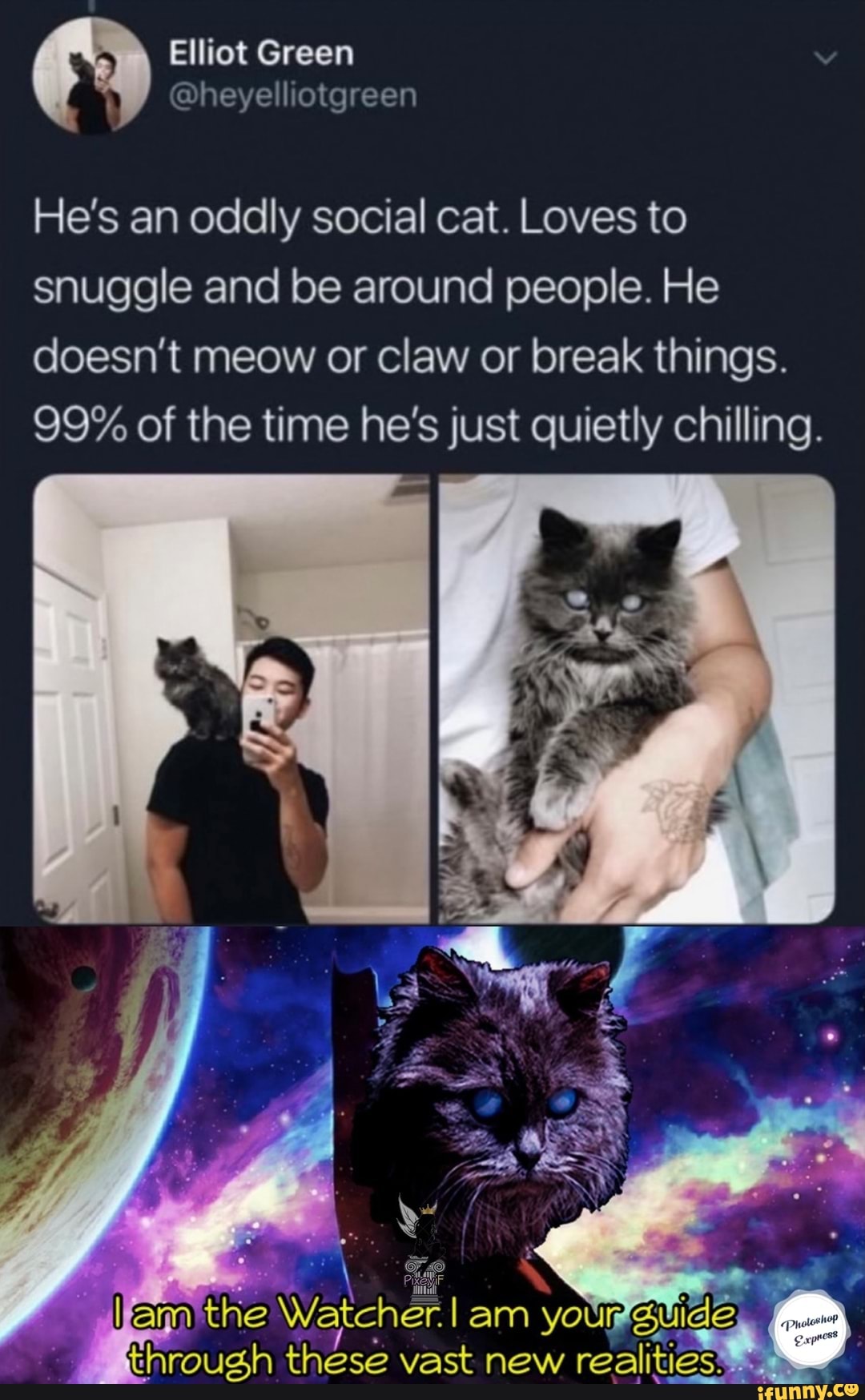 Otgreen memes. Best Collection of funny Otgreen pictures on iFunny