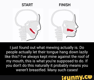 Mewing memes. Best Collection of funny Mewing pictures on iFunny