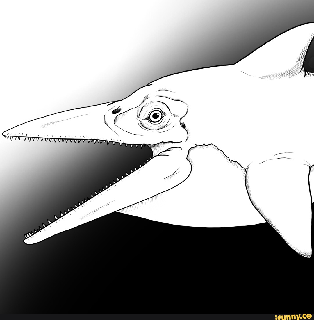 Ichthyosaur memes. Best Collection of funny Ichthyosaur pictures on iFunny