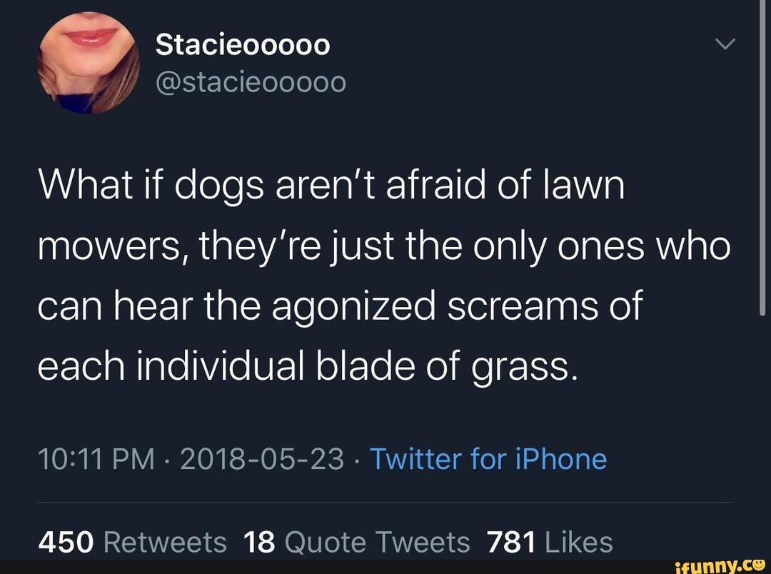 Meme dump 173: corgi cops - Stacieooooo @stacieooooo What if dogs aren ...