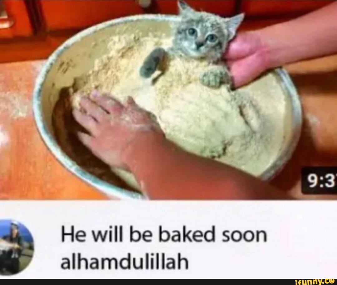 Alhamdulillah memes. Best Collection of funny Alhamdulillah pictures on ...