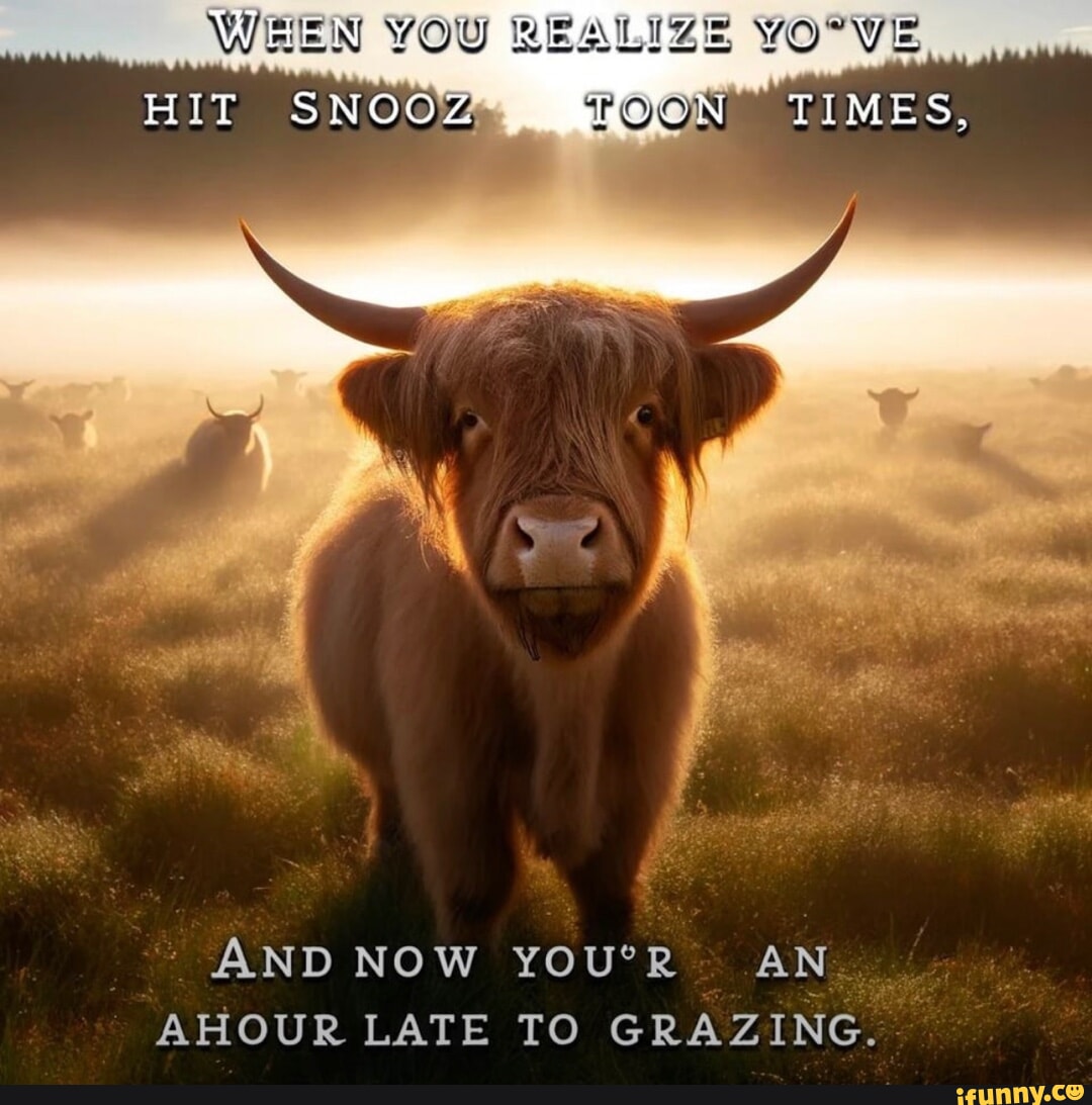 Grazing memes. Best Collection of funny Grazing pictures on iFunny