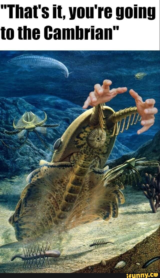 Cambrianexplosion memes. Best Collection of funny Cambrianexplosion ...