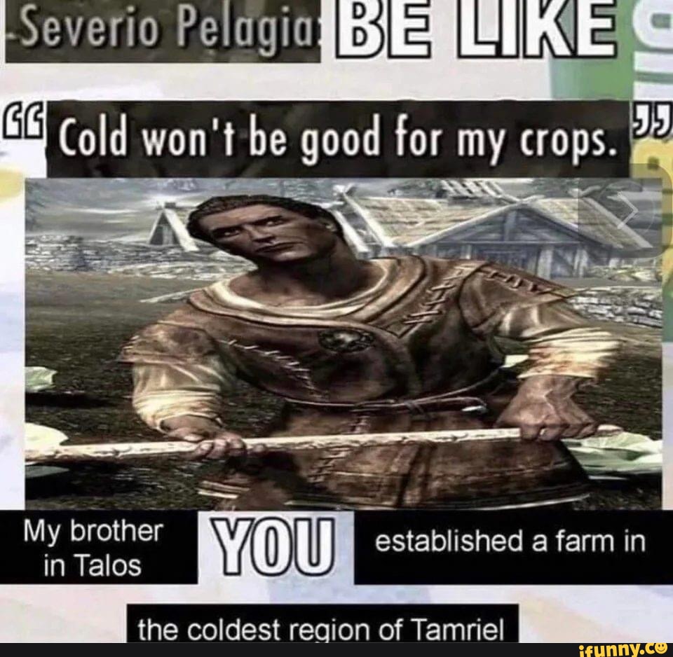 Tamriel memes. Best Collection of funny Tamriel pictures on iFunny