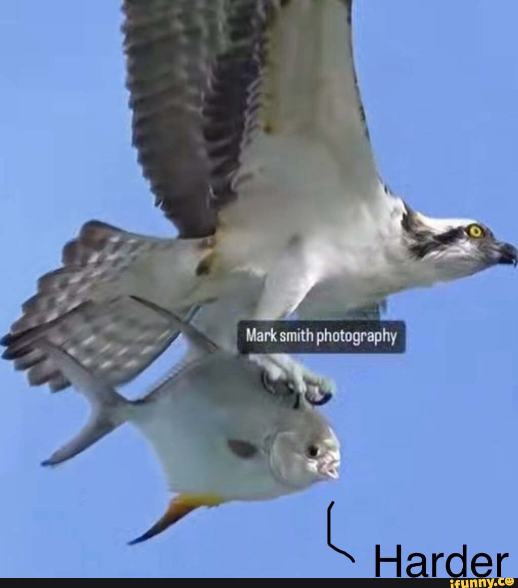 Mark memes. Best Collection of funny Mark pictures on iFunny